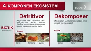 PPT EKOSISTEM KLS X SIM.pptx