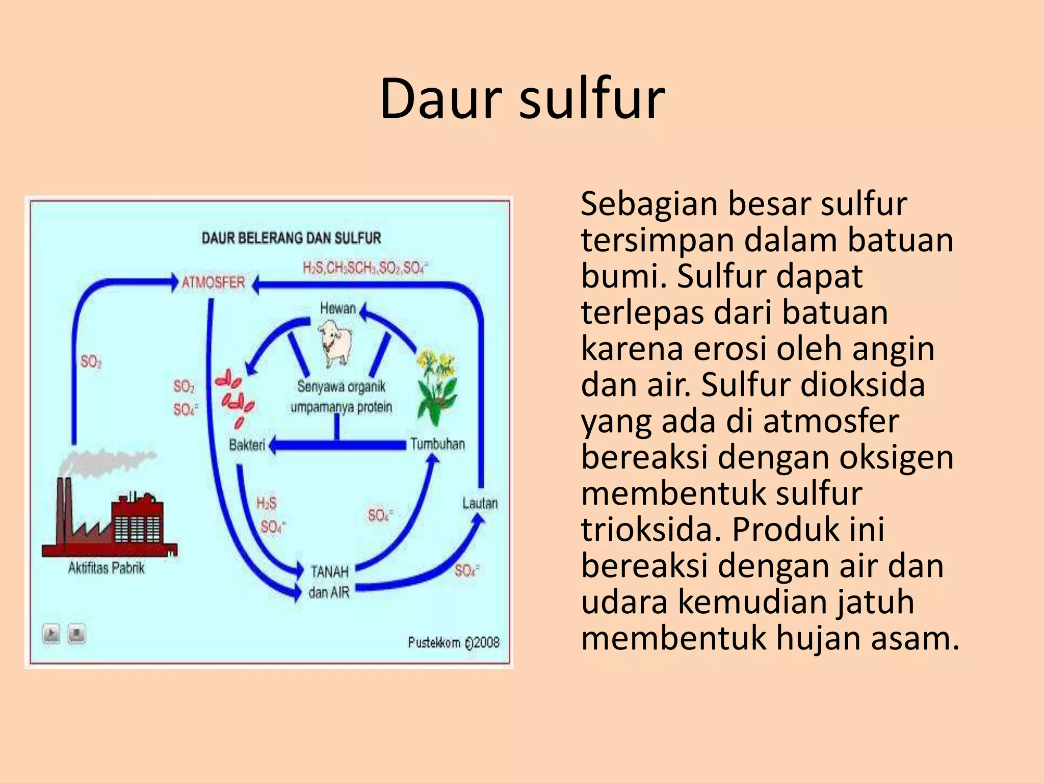 Ppt ekosistem tema 5 | PDF
