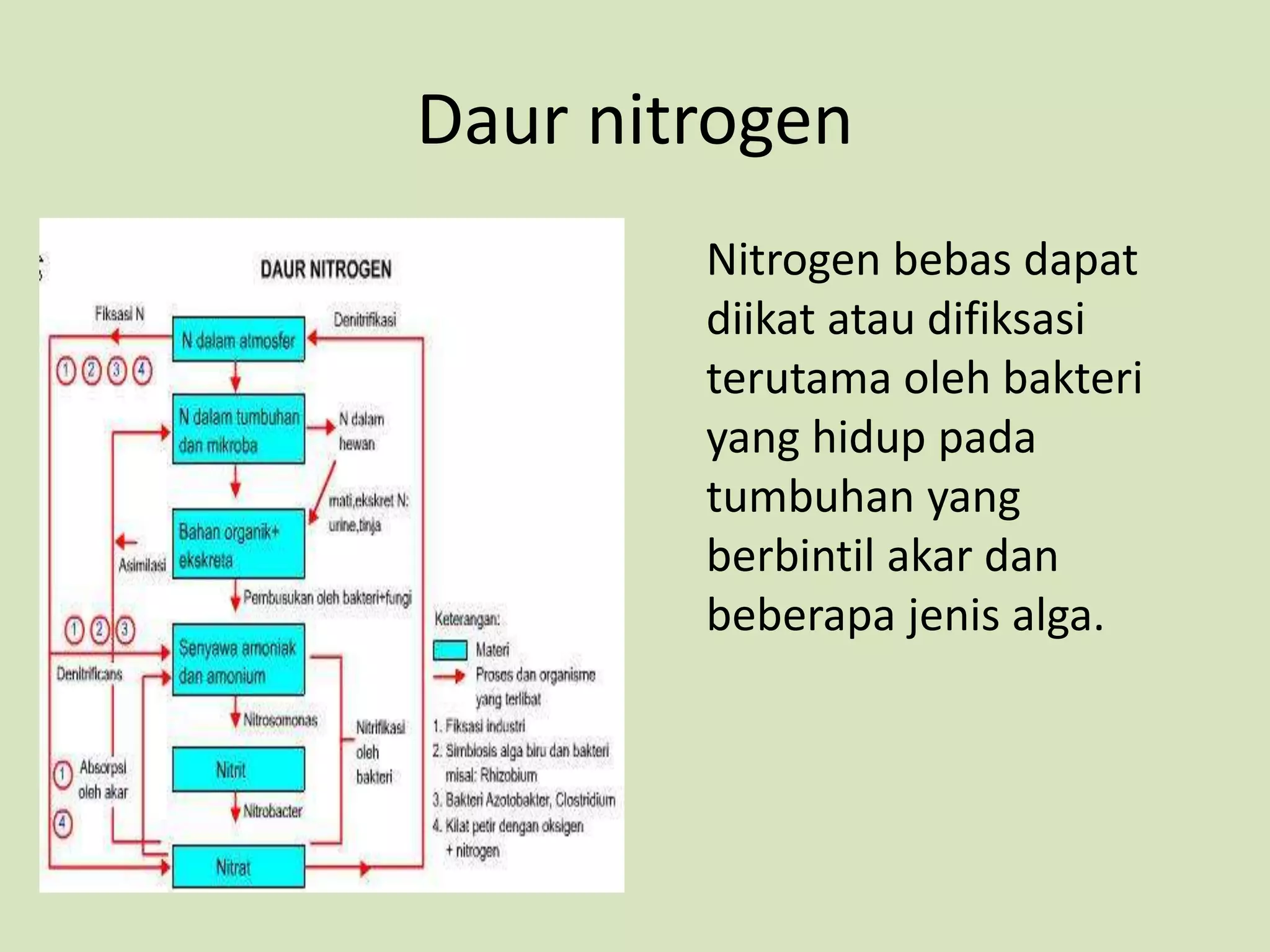 Ppt ekosistem tema 5 | PDF