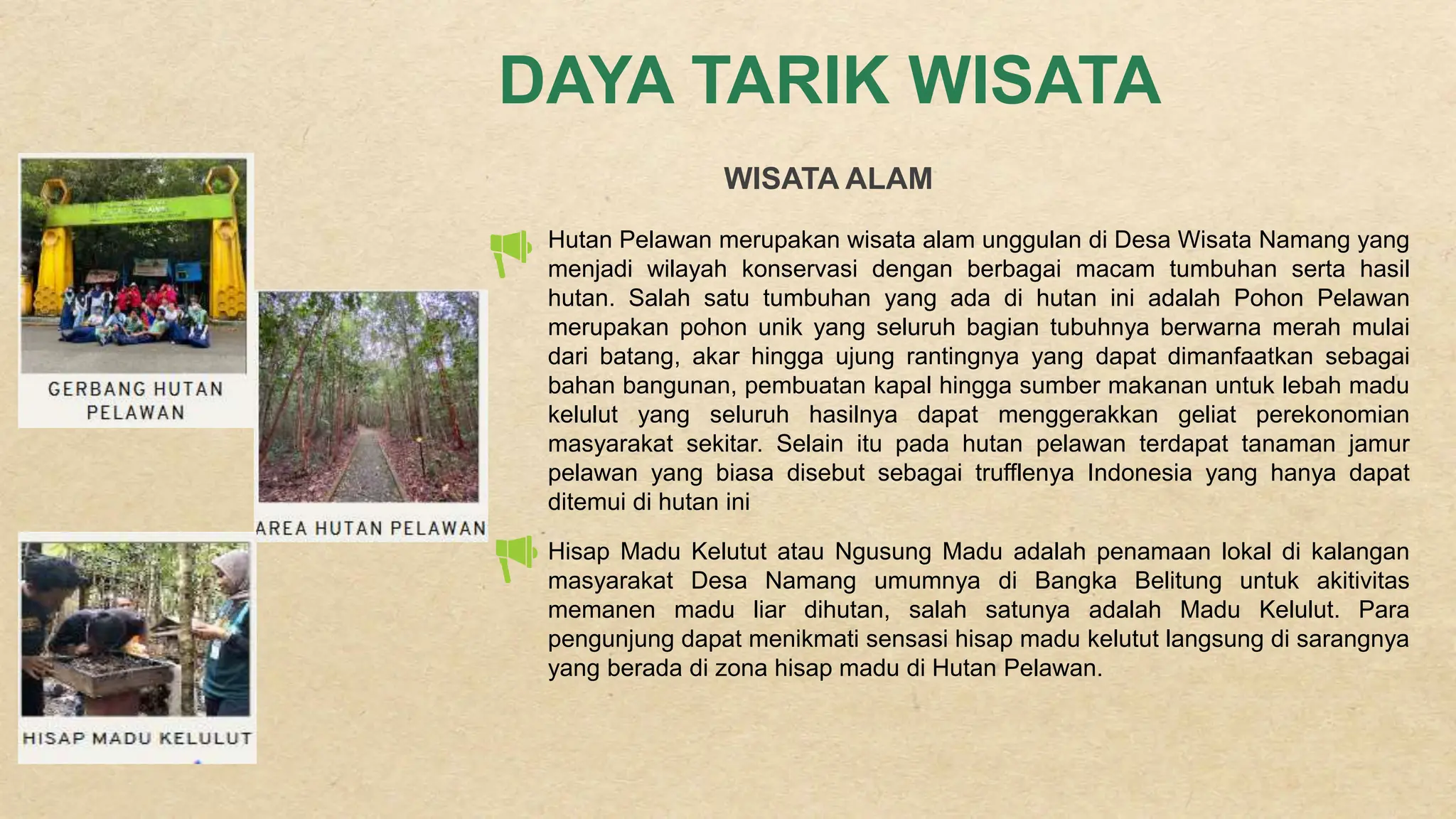 daya tarik wisata yang ada di desa wisata Namang Kabupaten Bangka ...