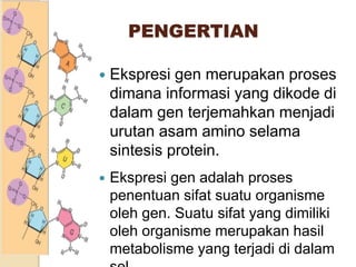 Ppt ekspresi gen klp 9 b | PPTX