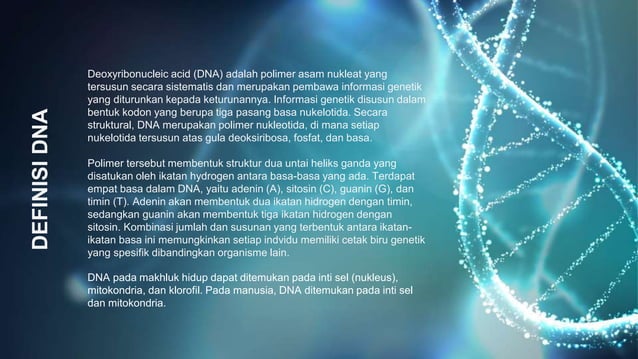 PPT EKSTRAKSI DNA UDANG.pptx