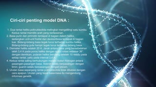 PPT EKSTRAKSI DNA UDANG.pptx