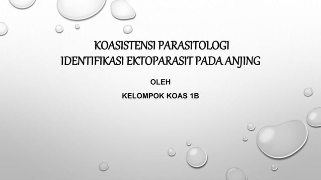 Ppt ektoparasit.pptx