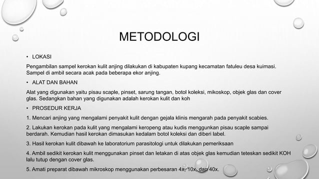 Ppt ektoparasit.pptx