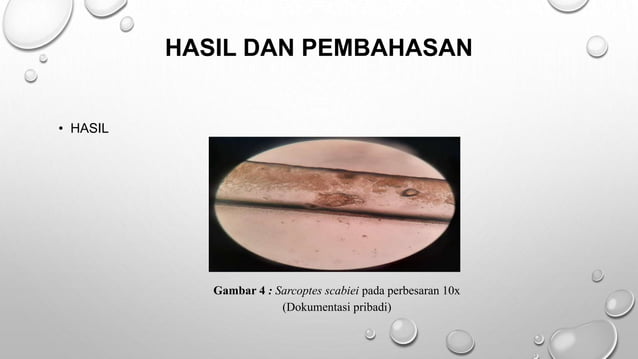 Ppt ektoparasit.pptx