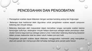 Ppt ektoparasit.pptx