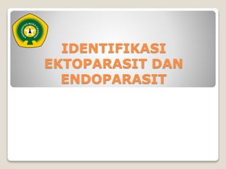 PPT EKTO (REVISI) (1).pptx