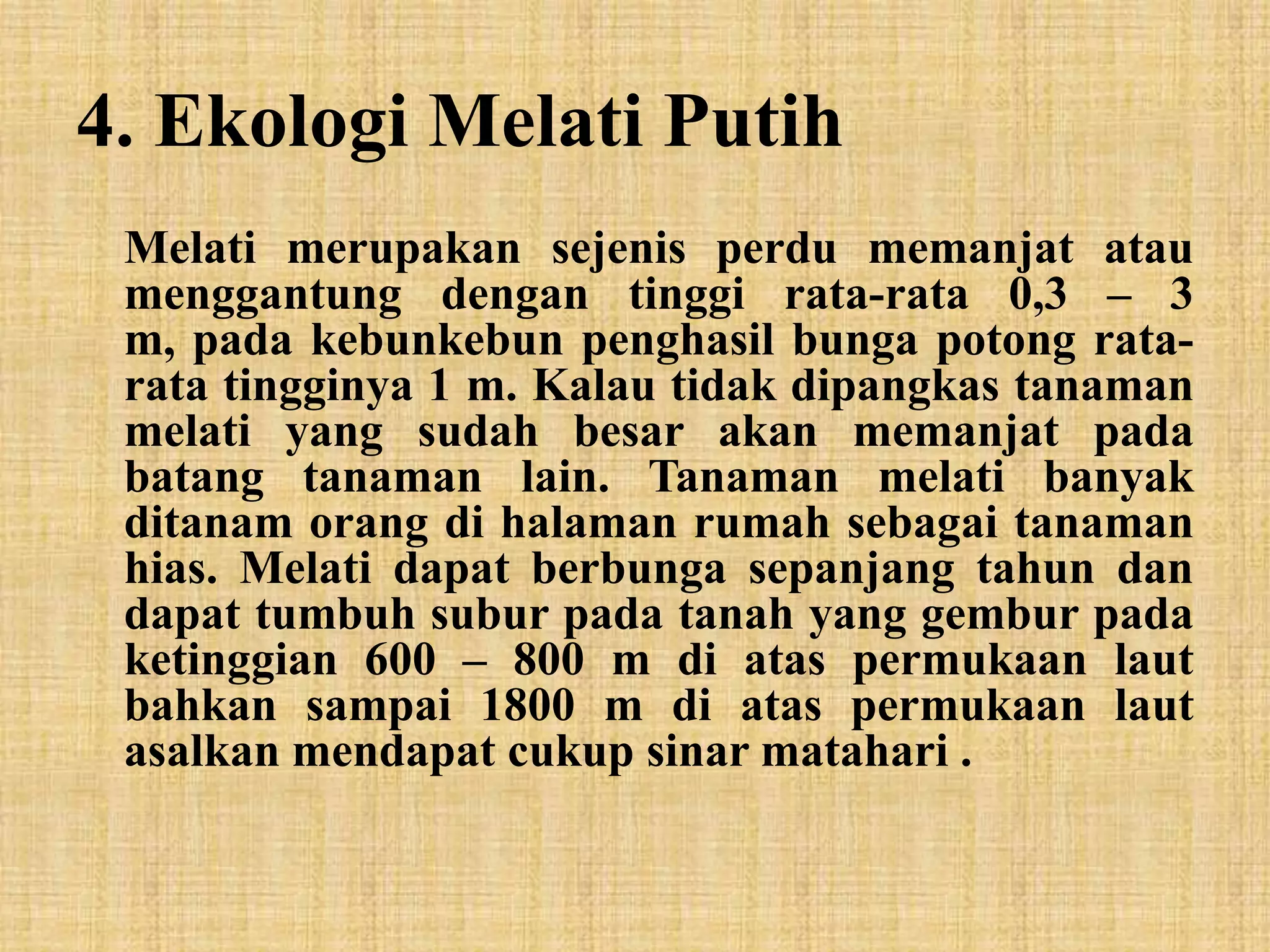 Ppt ektum melati | PPTX