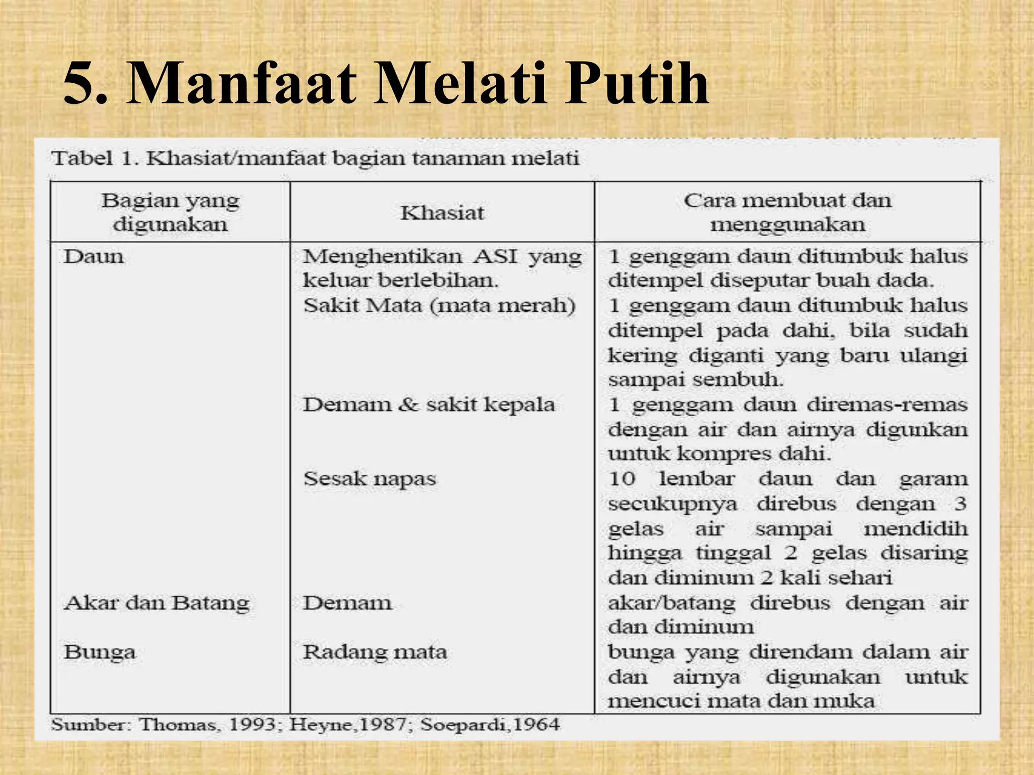 Ppt ektum melati | PPTX