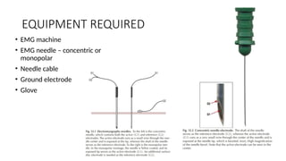 PPT ELECTROMYOGRAPHY BASICS INTERPRETATION AND WAVEFORM ANALYSIS.pptx