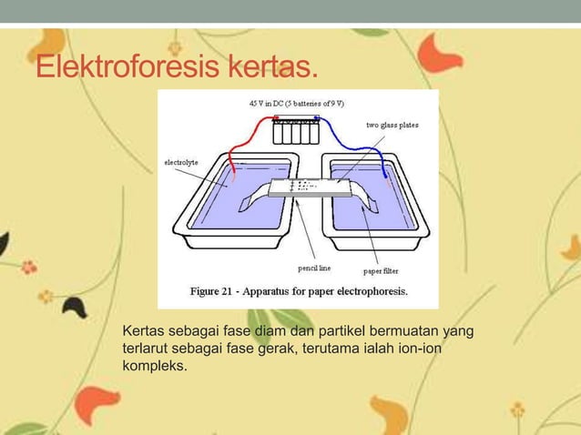 Ppt elektroforesis | PPTX