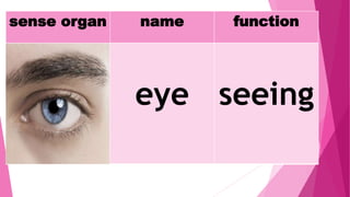 PPT elem_090725.pptxmmkkgigigigiggujhnnnh | PPT