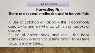 PPT_Elementary Agriculture_Quarter 2_W9.pptx