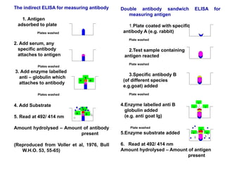 ppt ELISA final.ppt
