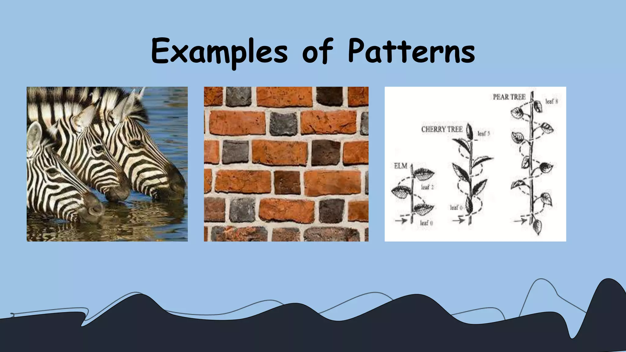 Patterns in nature | PPTX