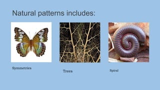 Patterns in nature | PPTX