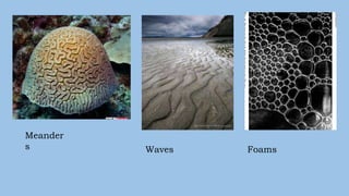 Patterns in nature | PPTX