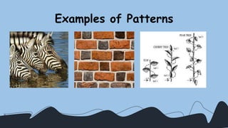 Patterns in nature | PPTX