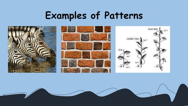 Patterns in nature | PPTX | Science