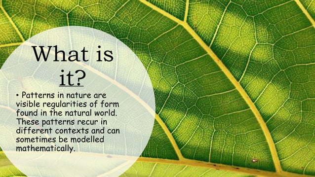 Patterns in nature | PPTX | Science