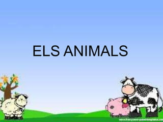 Els animals 3er primària | PPT