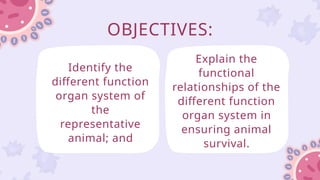 QUARTER 1 PPT ELS FUNCTIONAL RELATIONSHIP.pptx