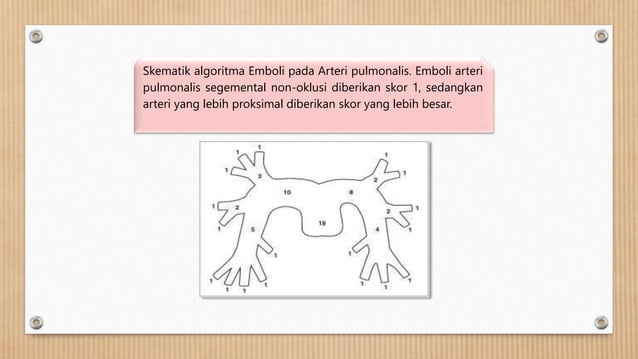 PPT_EMBOLI_PARU.pptx