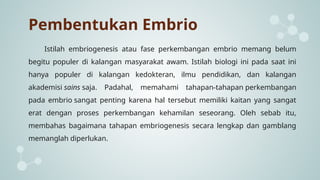 presentasi embriologi mata kuliah biologi sarjana | PPTX