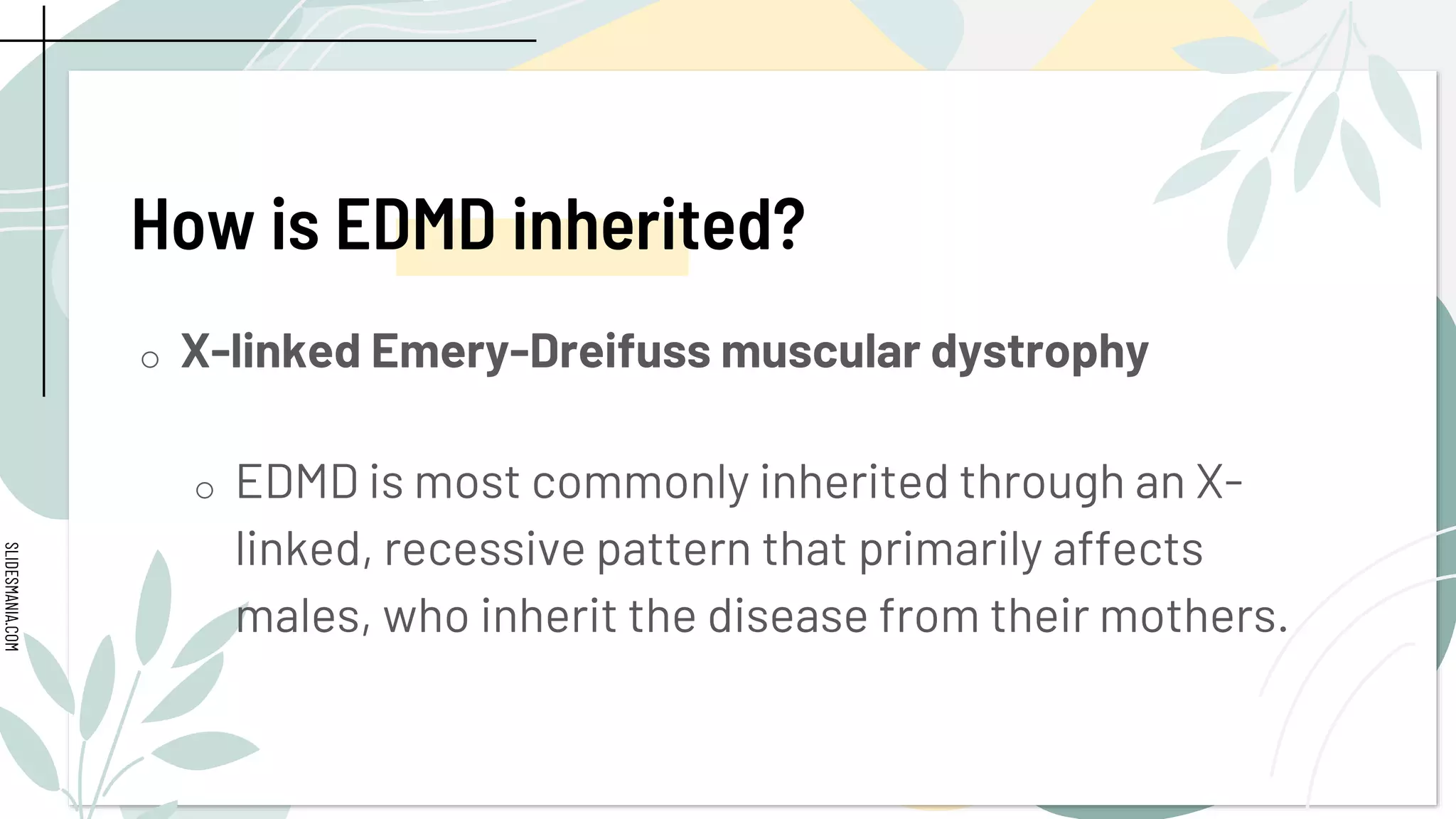 PPT Emery-Dreifuss Muscular Dystrophy.pptx
