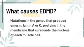 PPT Emery-Dreifuss Muscular Dystrophy.pptx