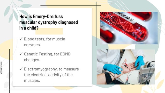 PPT Emery-Dreifuss Muscular Dystrophy.pptx