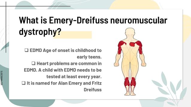 PPT Emery-Dreifuss Muscular Dystrophy.pptx