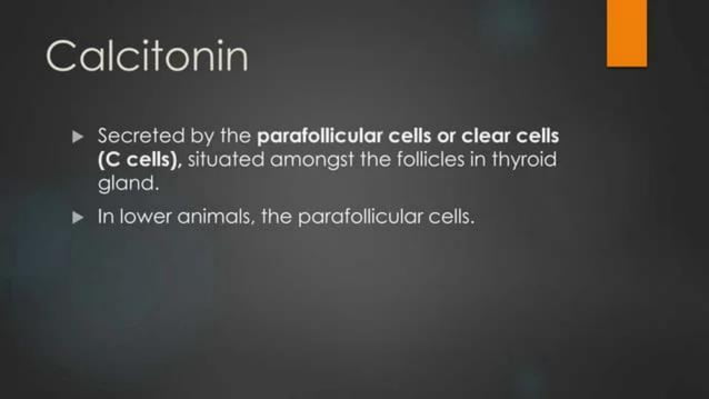 ppt Emlesh Kumar _ calcitonin.pdf | Thyroid Disorders | Endocrine and Metabolic Diseases