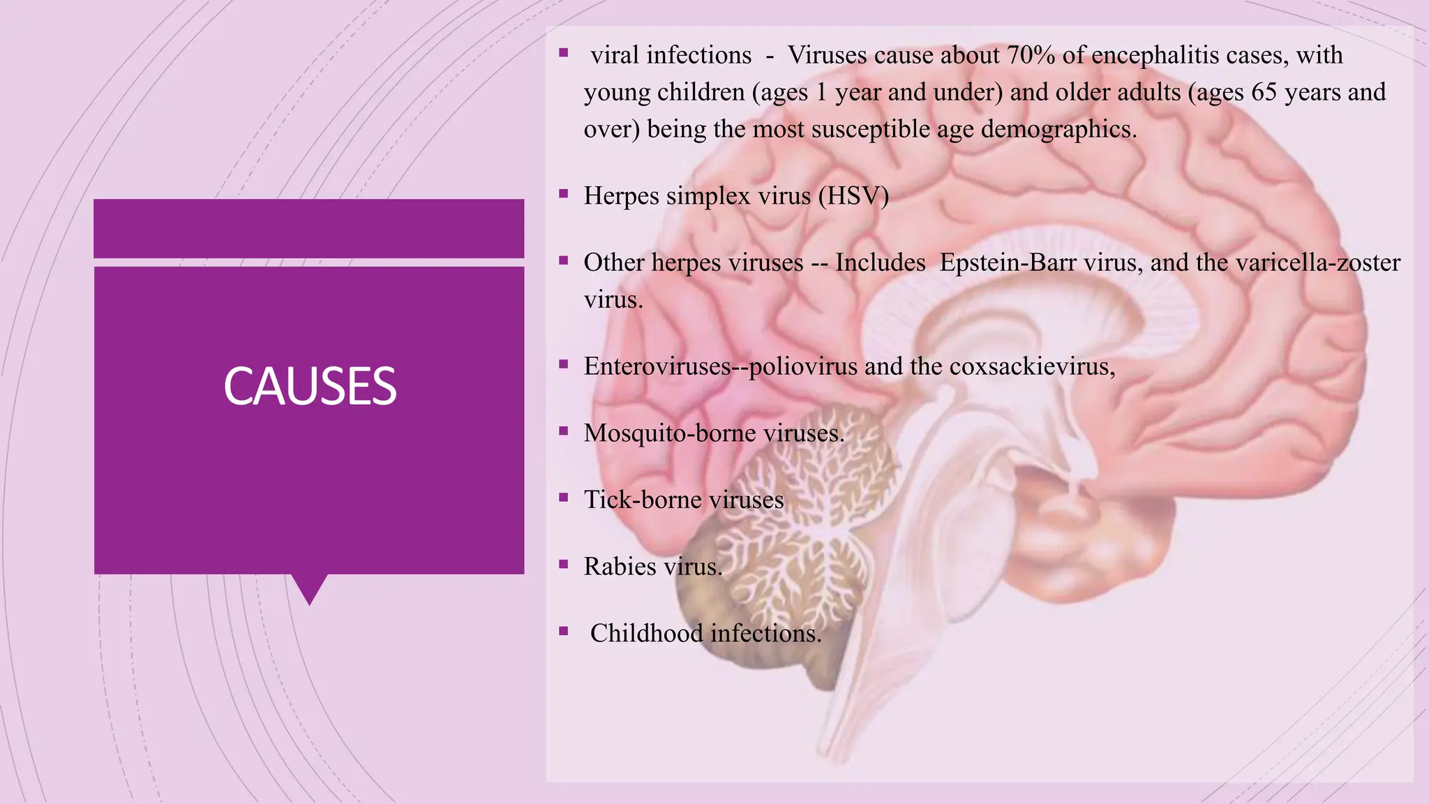 INFECTION OF THE BRAIN -ENCEPHALITIS ( PPT) | PPTX
