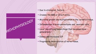 INFECTION OF THE BRAIN -ENCEPHALITIS ( PPT) | PPTX