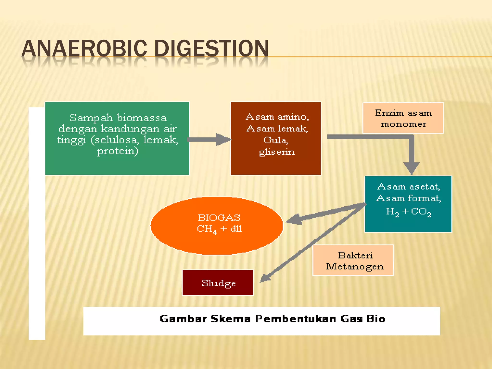Ppt Energi Biomassa Ppt