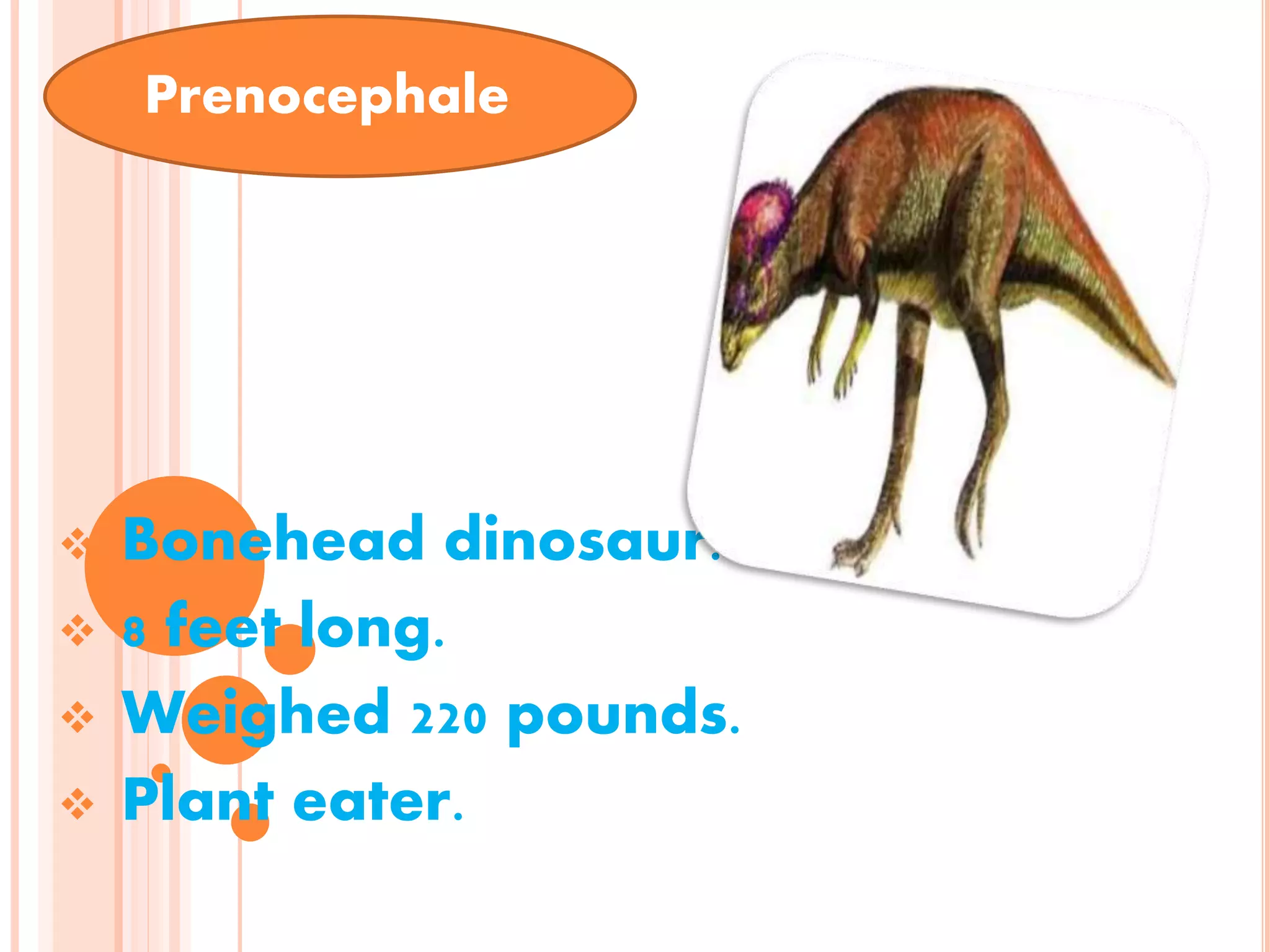 PPT ENGLISH DINOSAURS | PPT