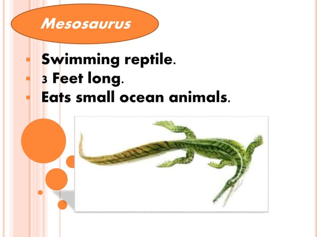 PPT ENGLISH DINOSAURS | PPT