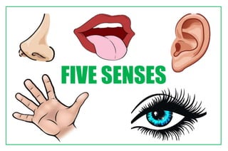 PPT_English 7_Q1_W4-1 (Sensory Images).pptx
