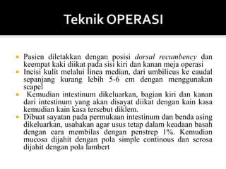Ppt enterotomy | PPTX