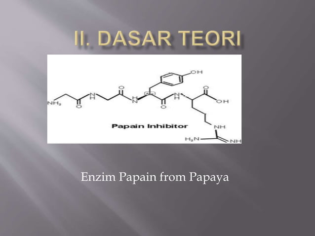 Ppt enzim | PPT | Free download