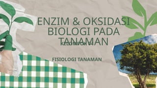 PPT Enzim dan Oksidasi Biologis pada tanaman.pptx