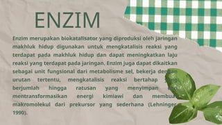 PPT Enzim dan Oksidasi Biologis pada tanaman.pptx