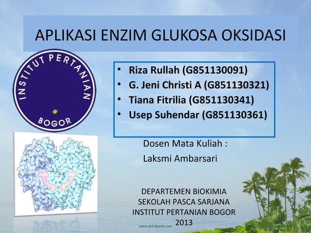 Aplikasi enzim glukosa oksidase | PPT