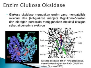 Aplikasi enzim glukosa oksidase | PPT