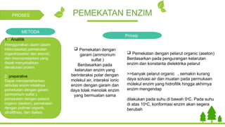 PPT ENZIMOLOGI METODE EKTRAKSI DAN PEMURNIAN ENZIM PADA TUMBUHAN pptx ...