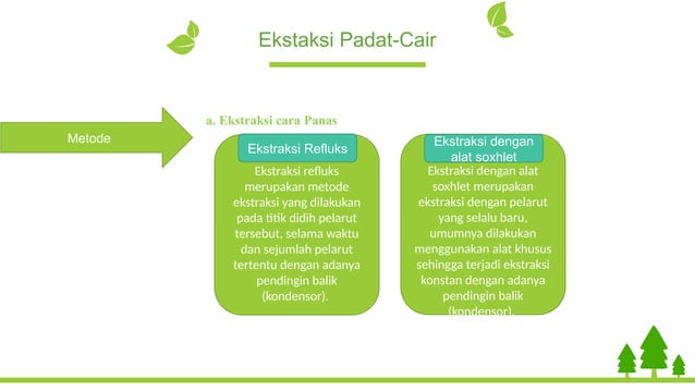 PPT ENZIMOLOGI METODE EKTRAKSI DAN PEMURNIAN ENZIM PADA TUMBUHAN pptx ...