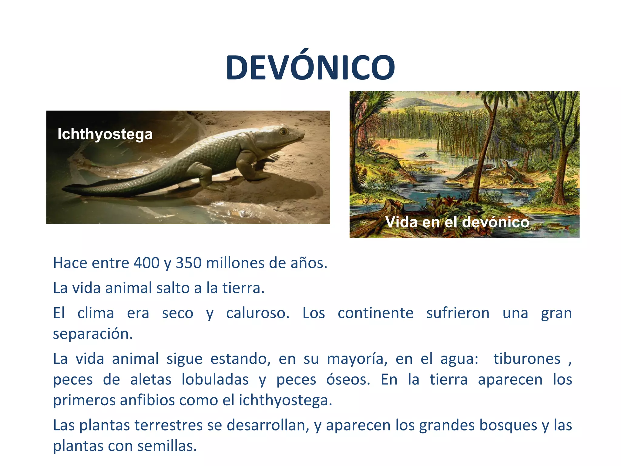 Etapas de la Tierra | PPT