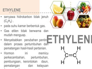 Ppt ethylen | PPT
